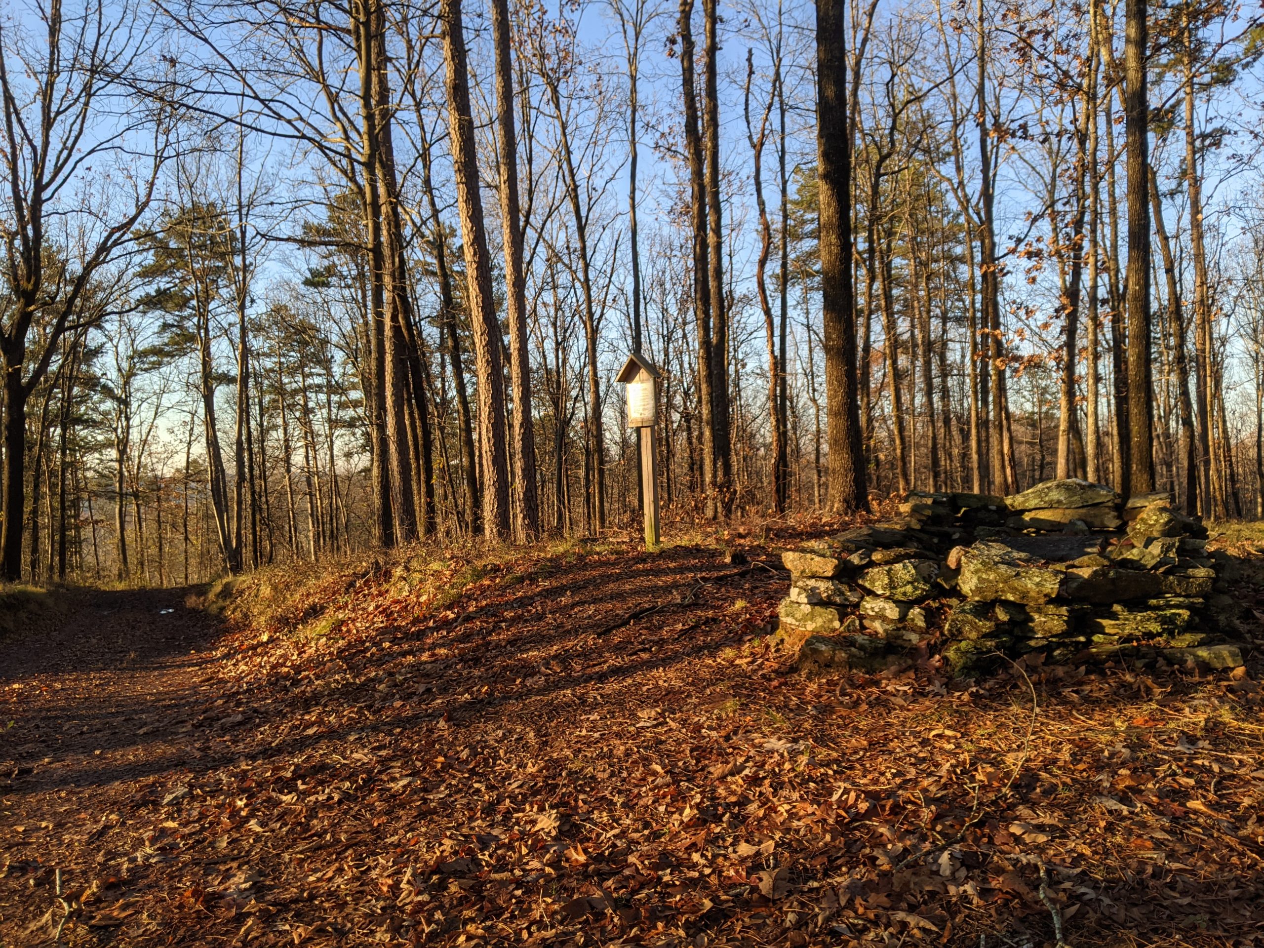 Sunday Morning Long Run – Jon Penland