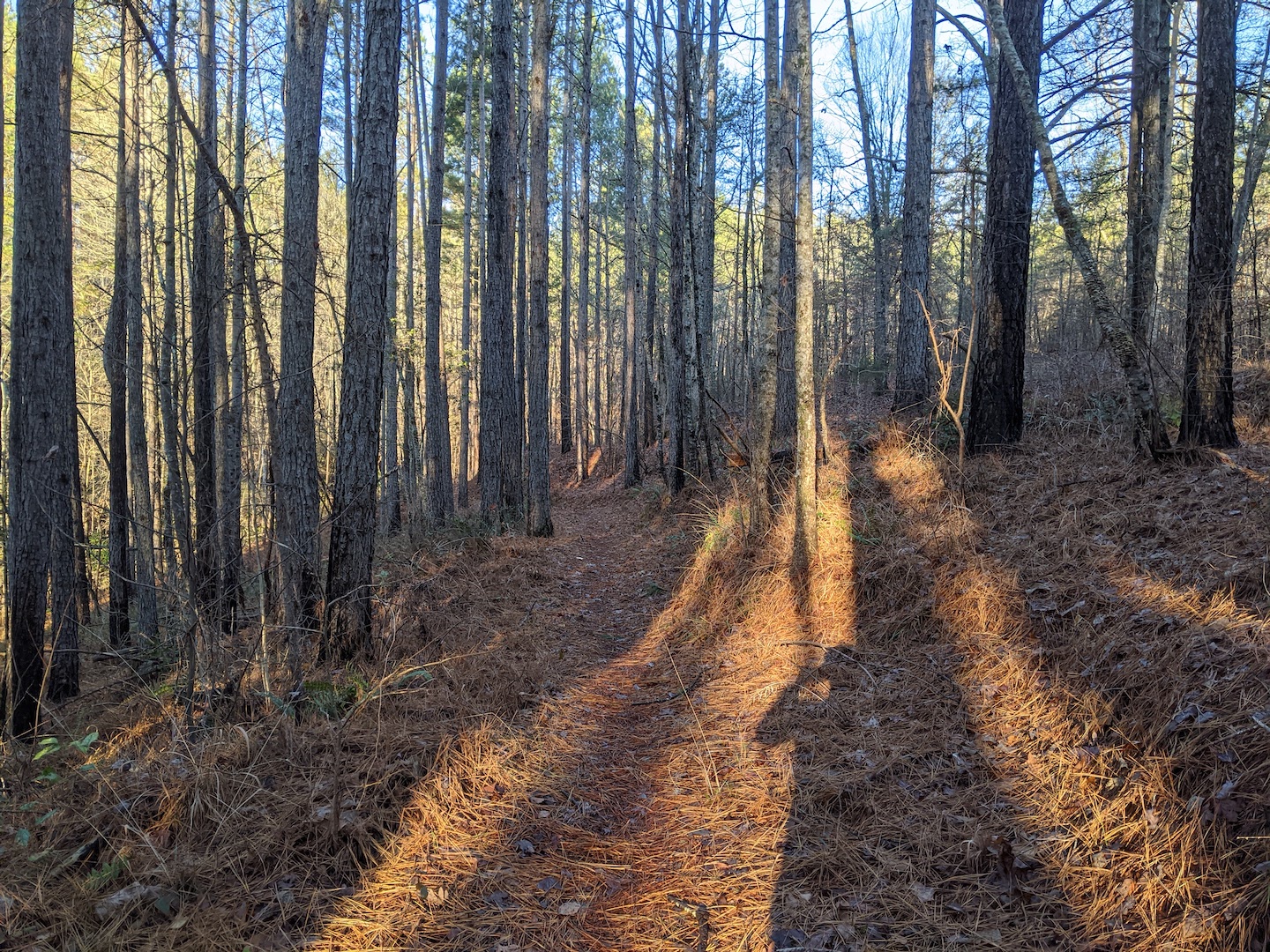 Currahee Mountain to Lake Russell and Back – Jon Penland