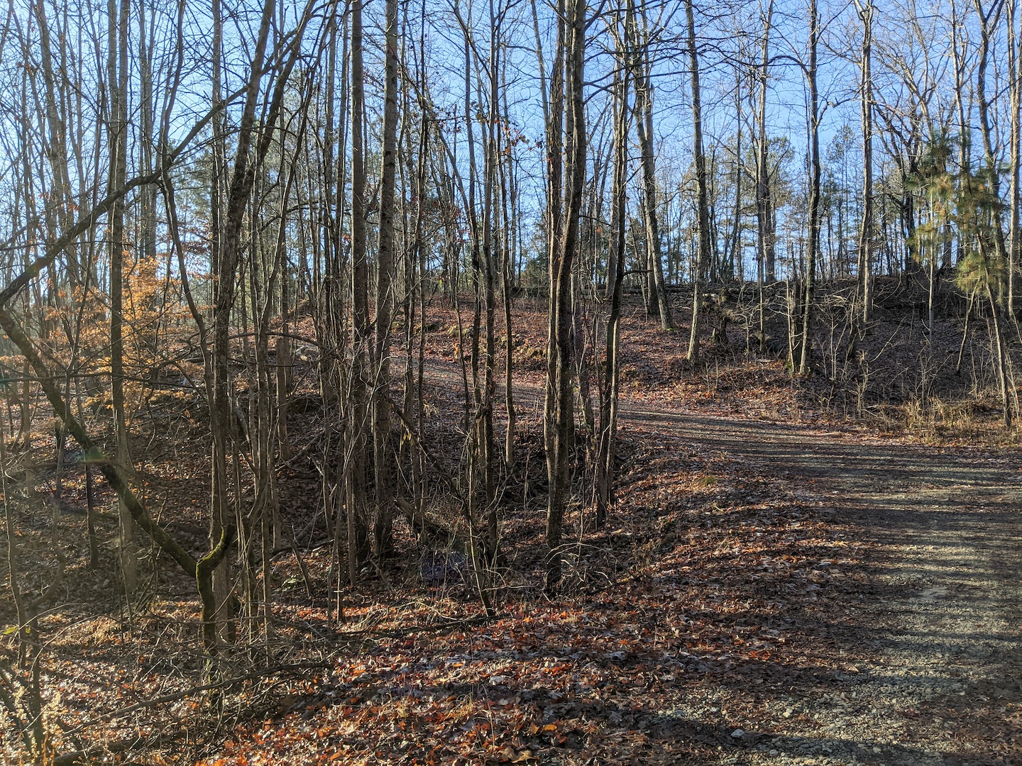 Currahee Mountain to Lake Russell and Back – Jon Penland