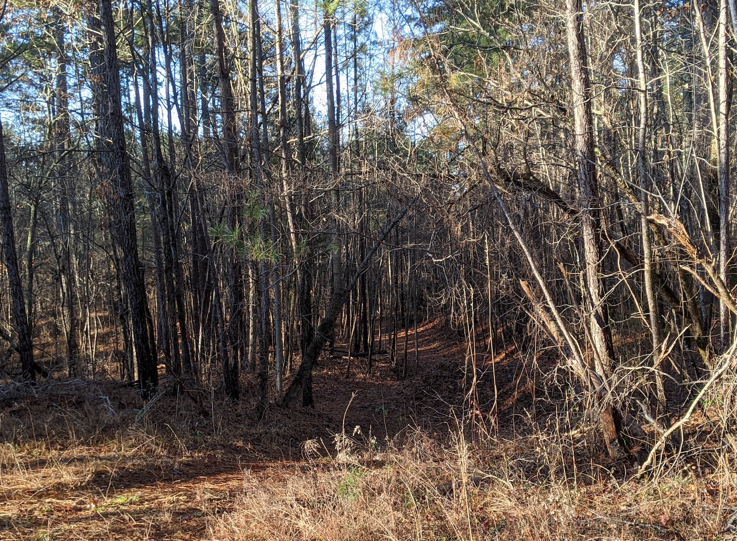 Currahee Mountain to Lake Russell and Back – Jon Penland