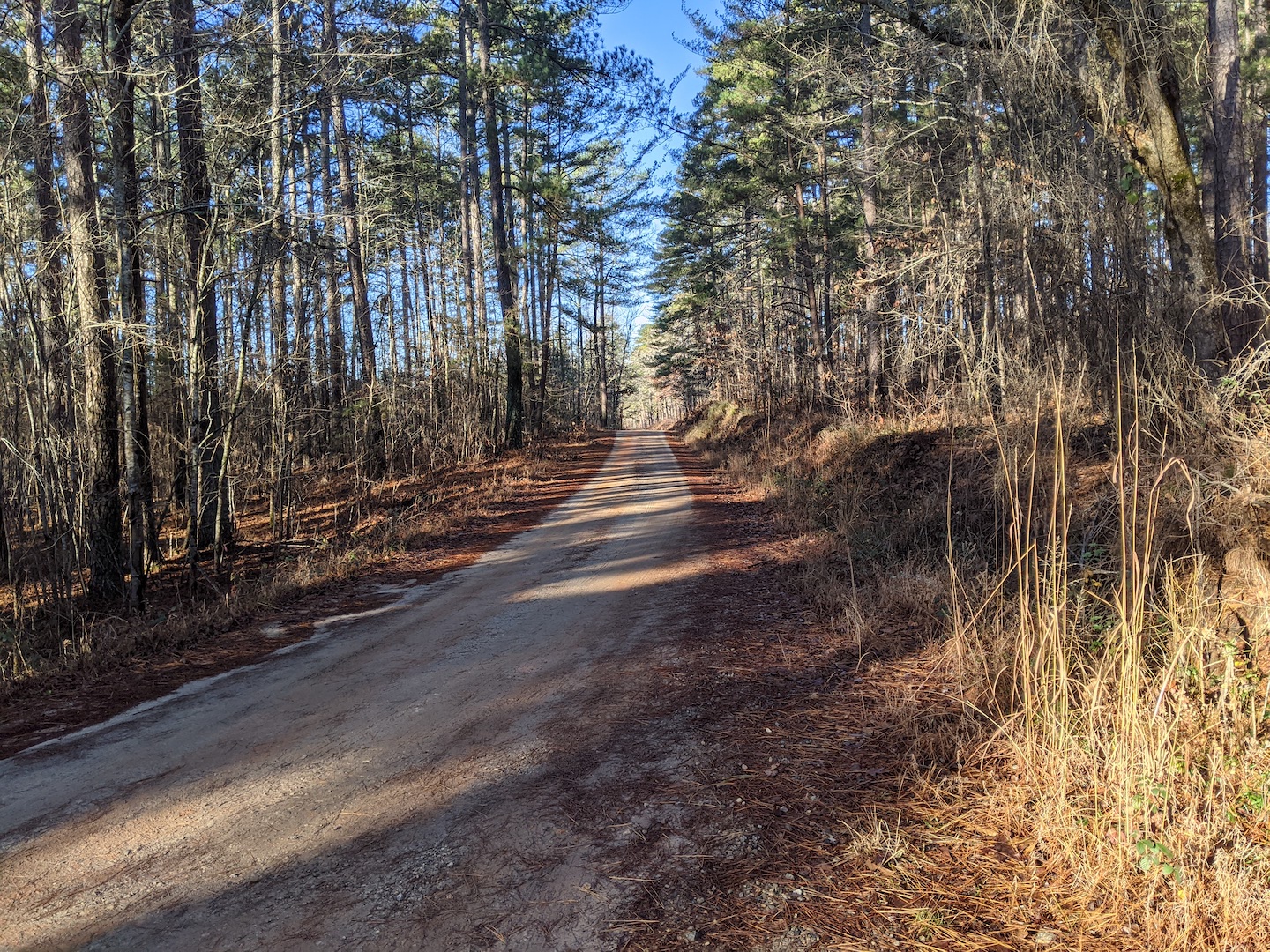 Currahee Mountain to Lake Russell and Back – Jon Penland