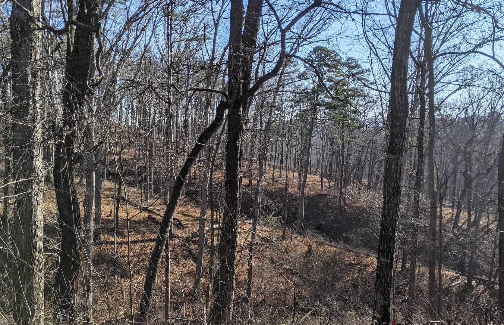 Currahee Mountain to Lake Russell and Back – Jon Penland