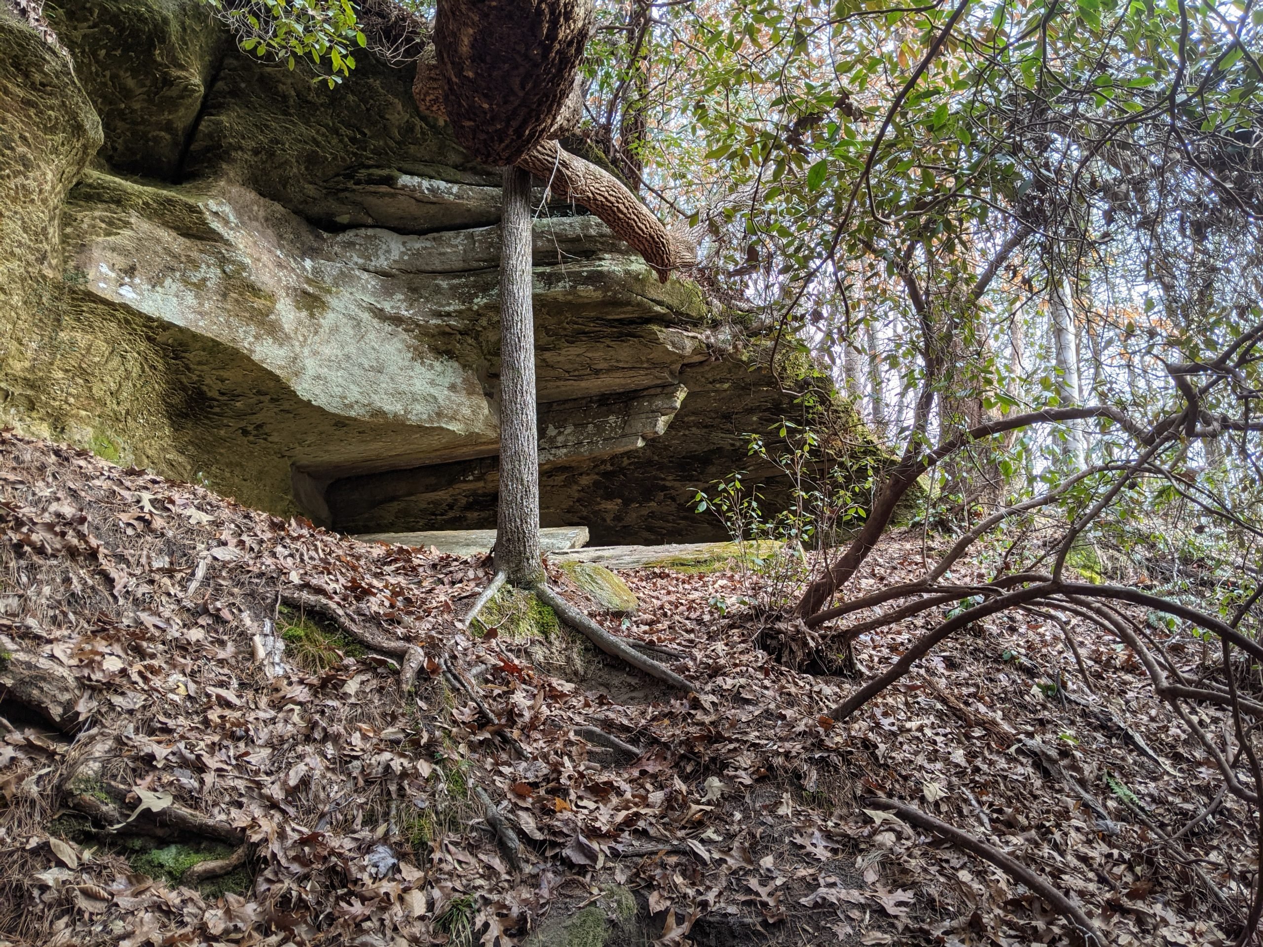 Finding Roman’s Den – Jon Penland