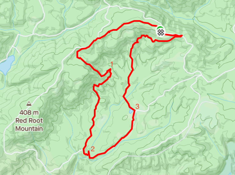 Exploring New Trails at Lake Russell WMA: Sourwood and Ladyslipper ...