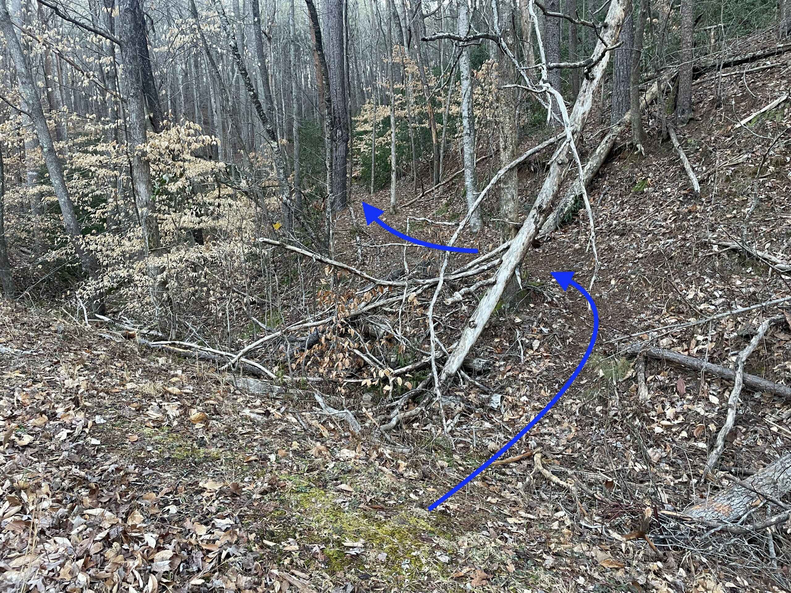 The Lake Russell Great Loop – Jon Penland