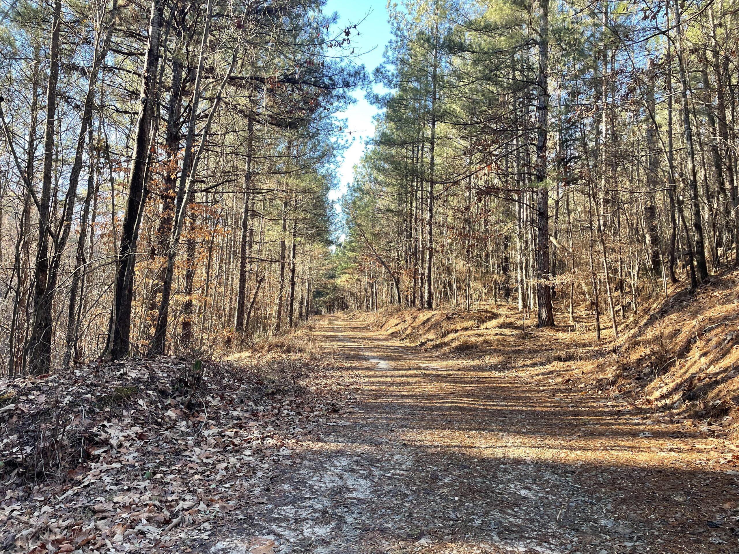 The Lake Russell Great Loop – Jon Penland