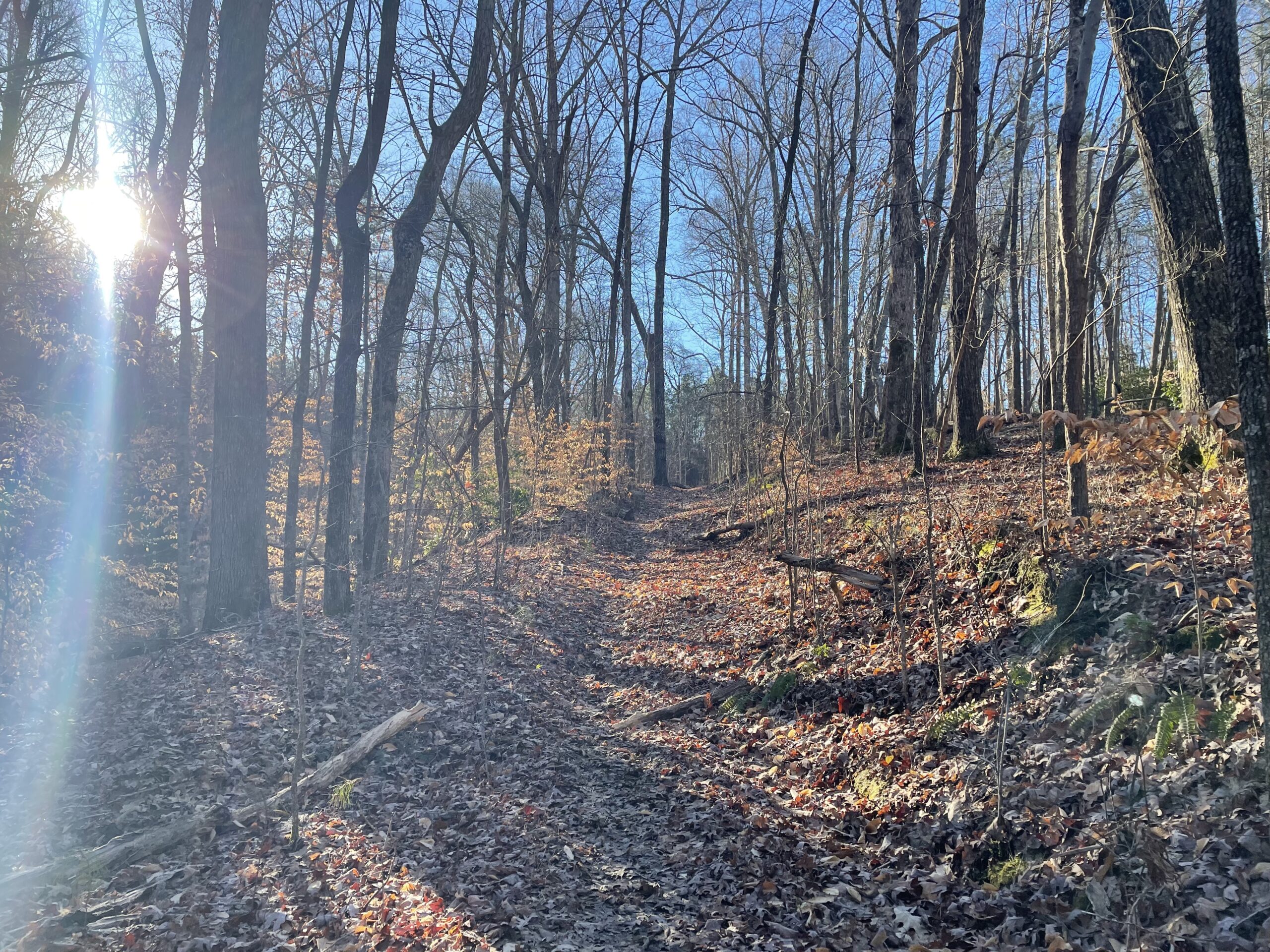 The Lake Russell Great Loop – Jon Penland