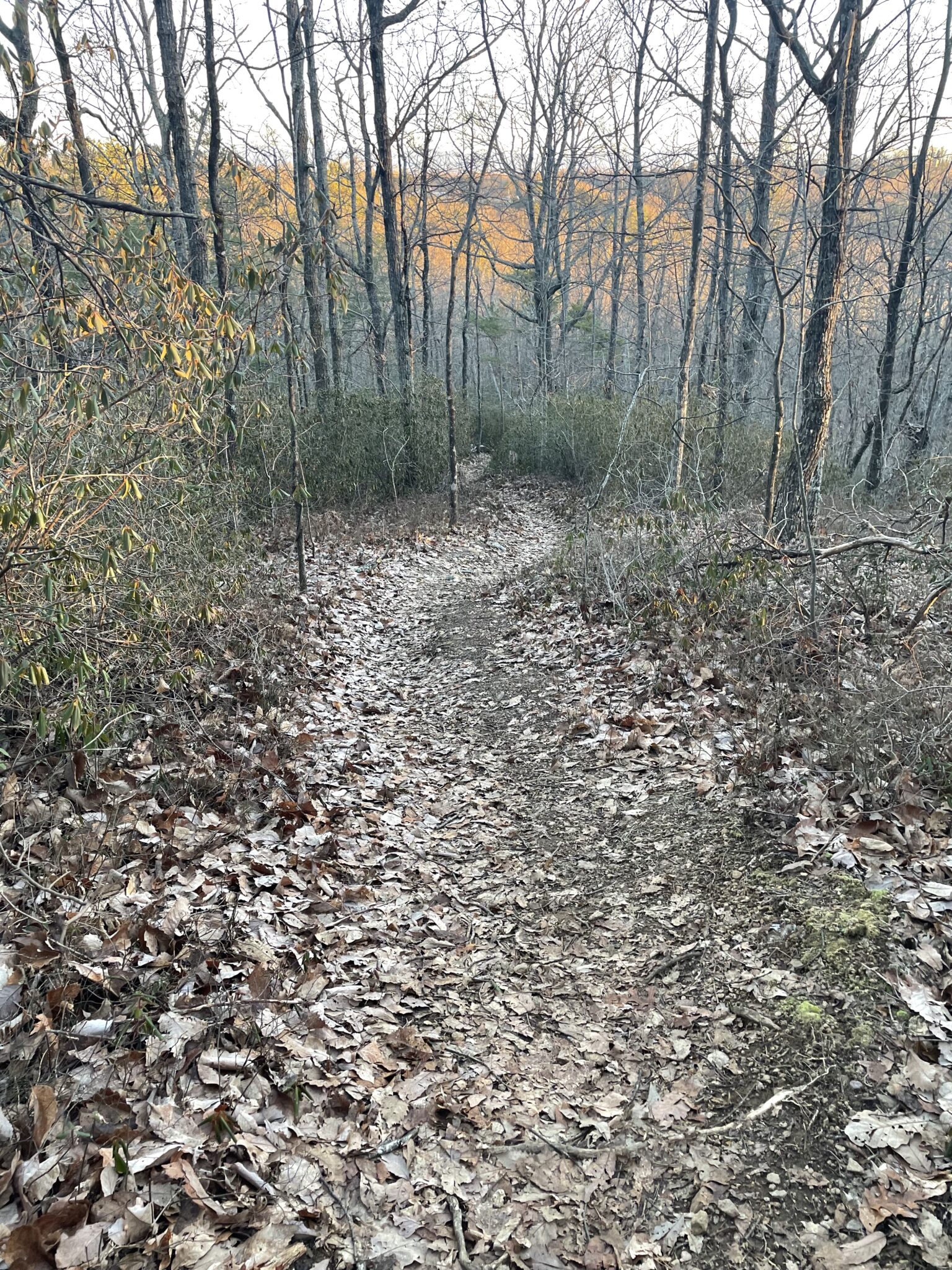 The Lake Russell Great Loop – Jon Penland