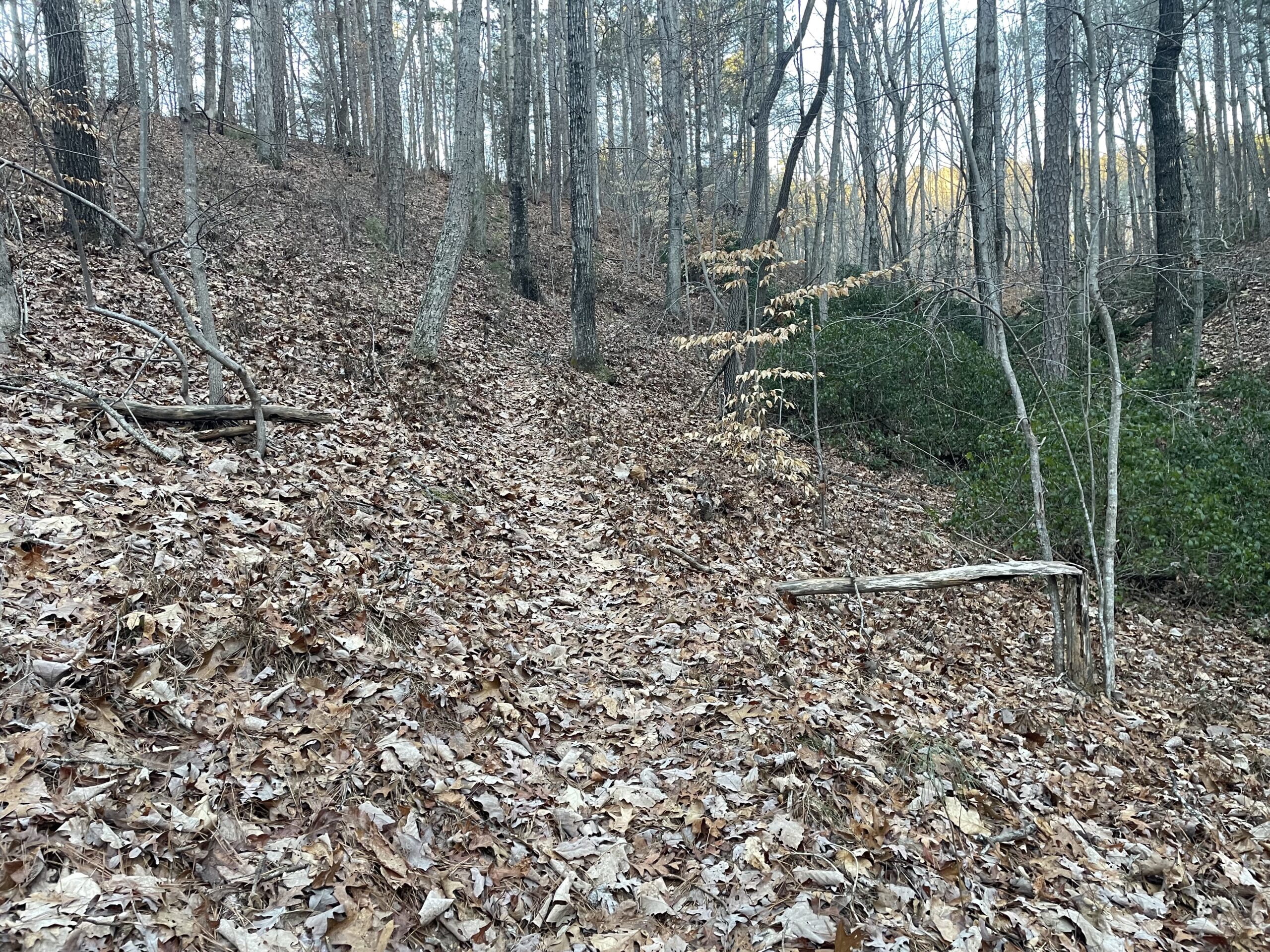 The Lake Russell Great Loop – Jon Penland