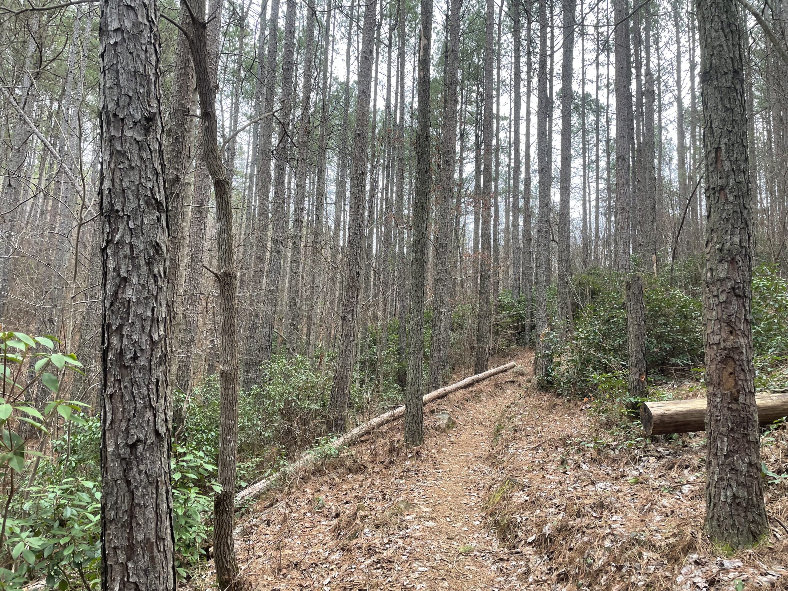 The Lake Russell Great Loop – Jon Penland