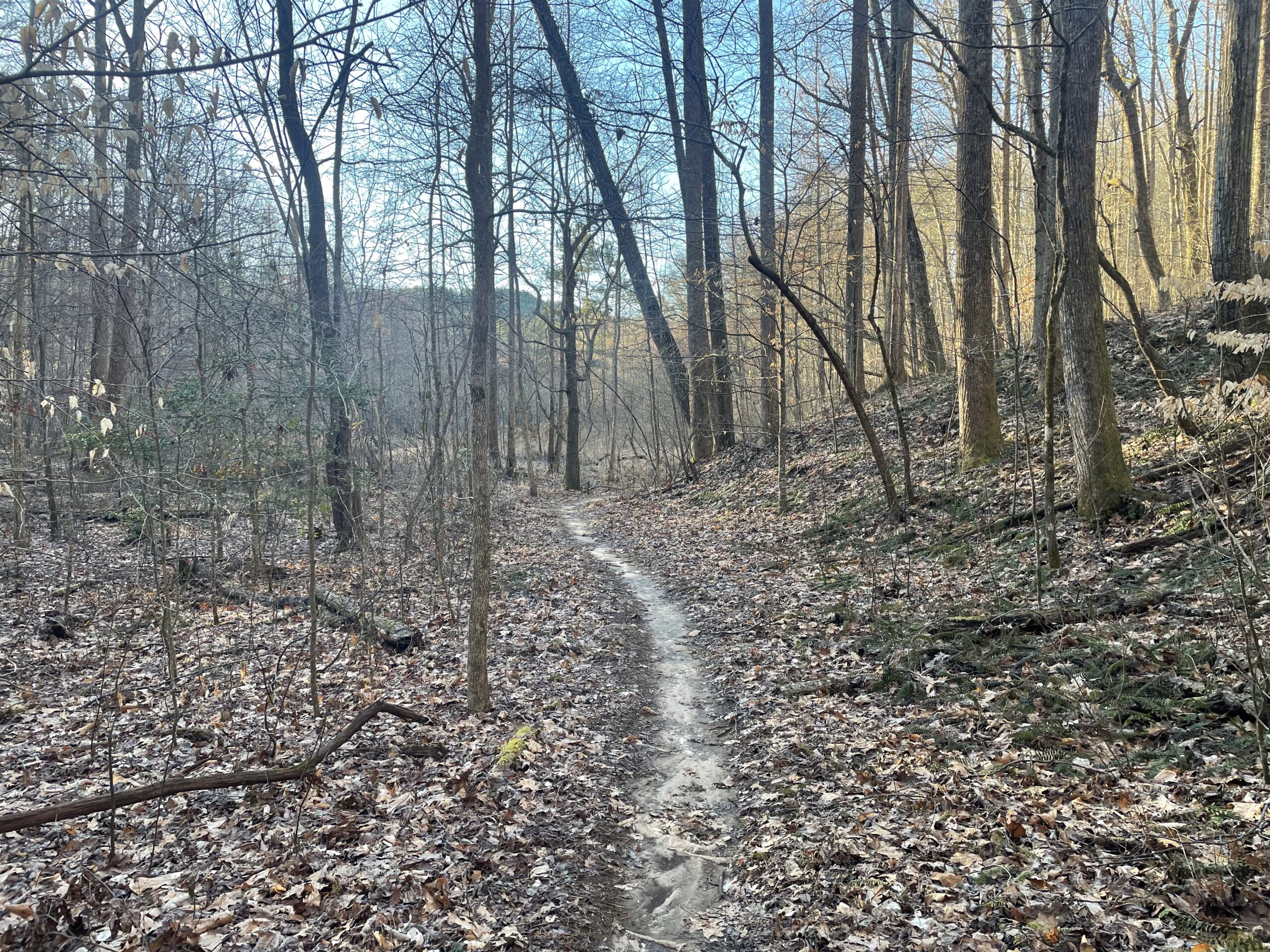 The Lake Russell Great Loop – Jon Penland