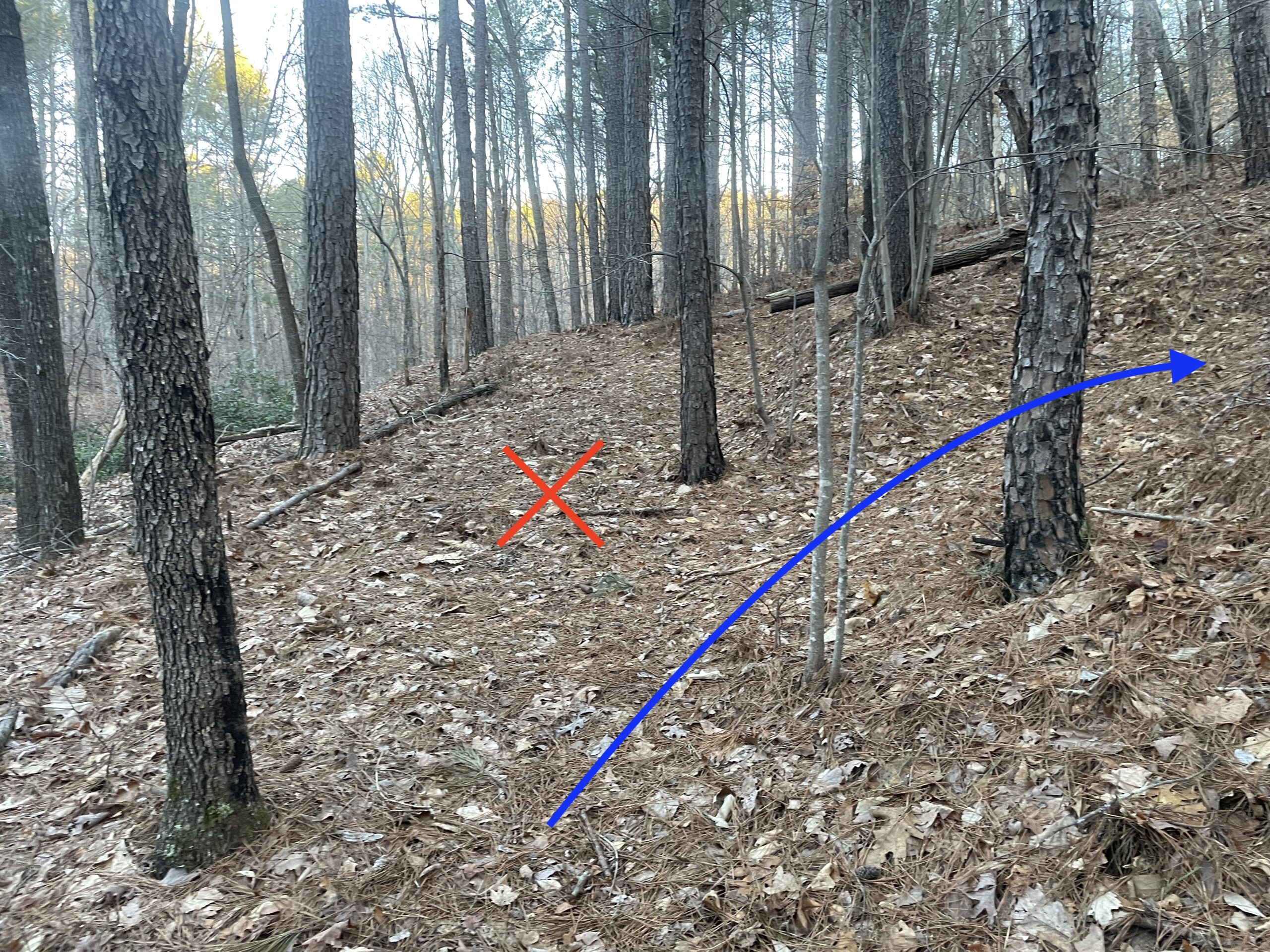 The Lake Russell Great Loop – Jon Penland