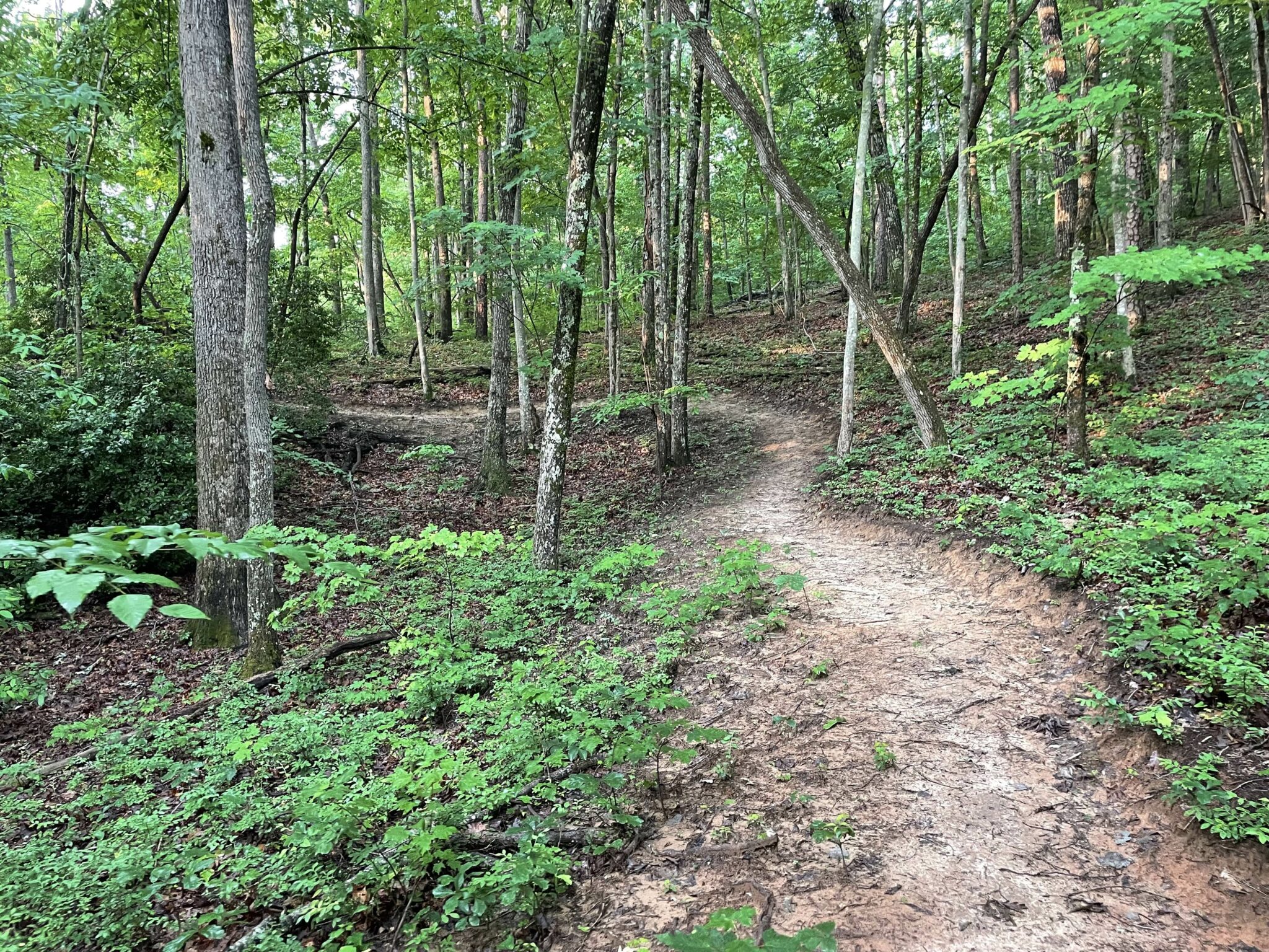 Pre-Race Jitters: 2024 Cruel Jewel 50 – Jon Penland