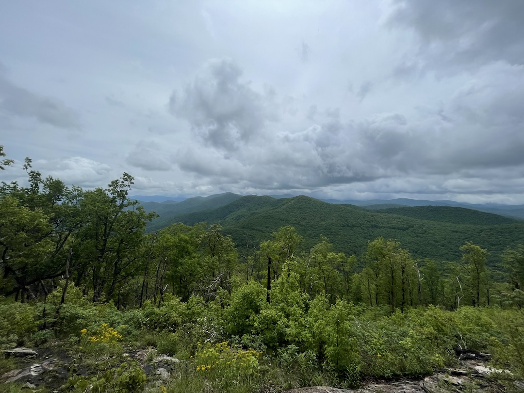 2024 Cruel Jewel 50 Race Report – Jon Penland