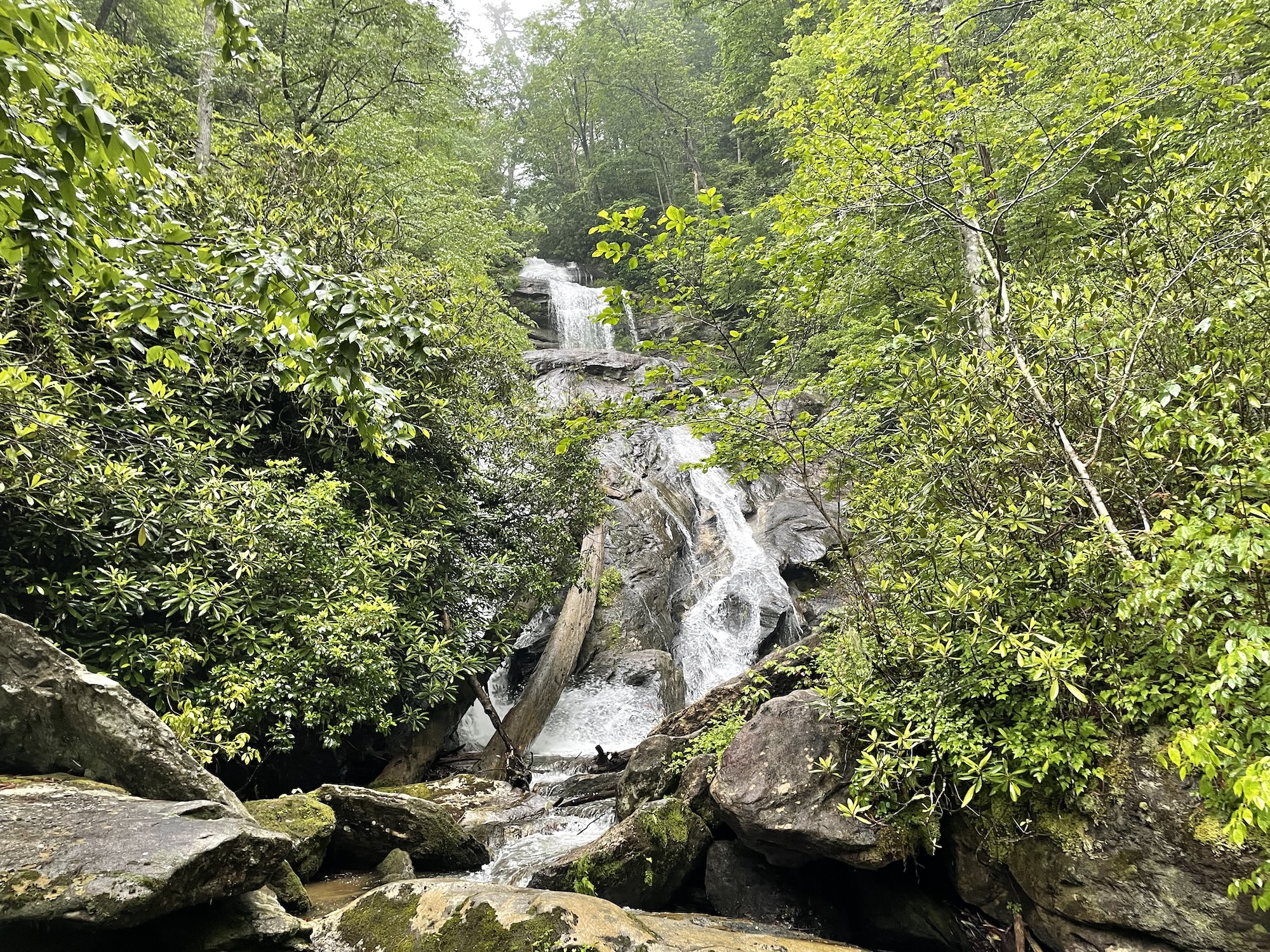 Rabun Half Marathon 2024 Race Report – Jon Penland